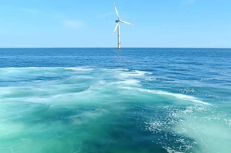 New Research Reveals Fish Communities in German Wind Farms