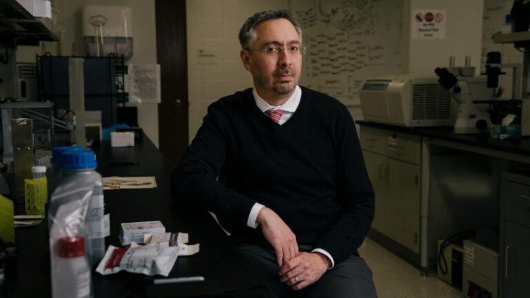 NIH Cuts MOSAIC Program, Impacting Hundreds of Early-Career Researchers