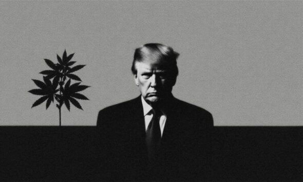 Trump Orders Marijuana Reclassification, Acknowledges Medical Benefits