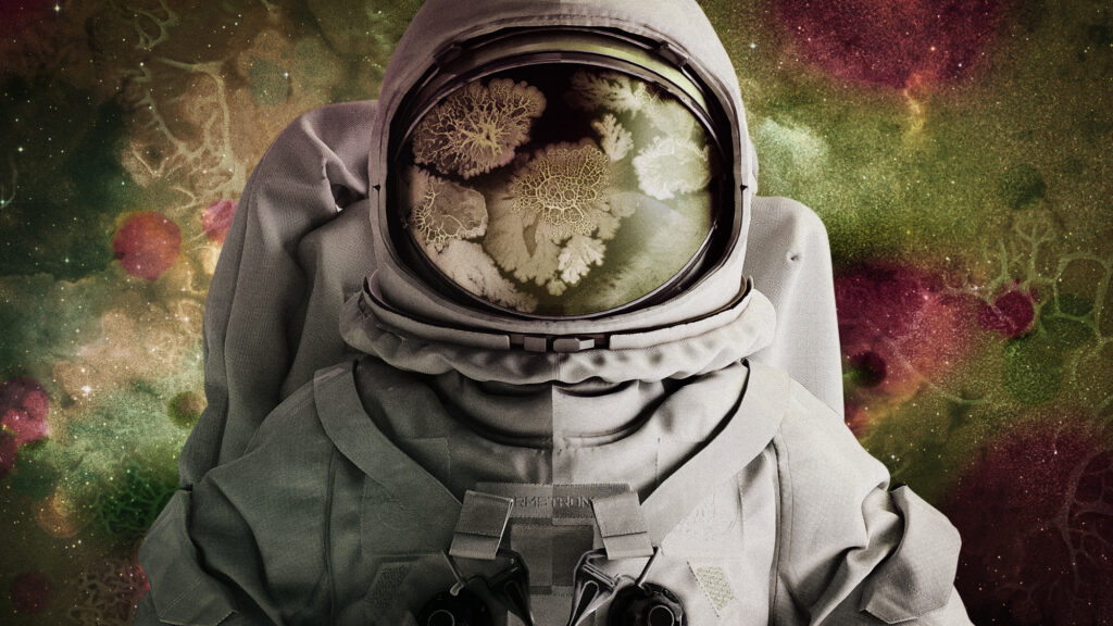 NASA Uncovers 26 New Microbes in Cleanrooms at Kennedy Space Center
