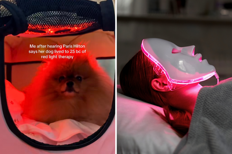 Pet Owners Explore Red Light Therapy for Healthier Dogs